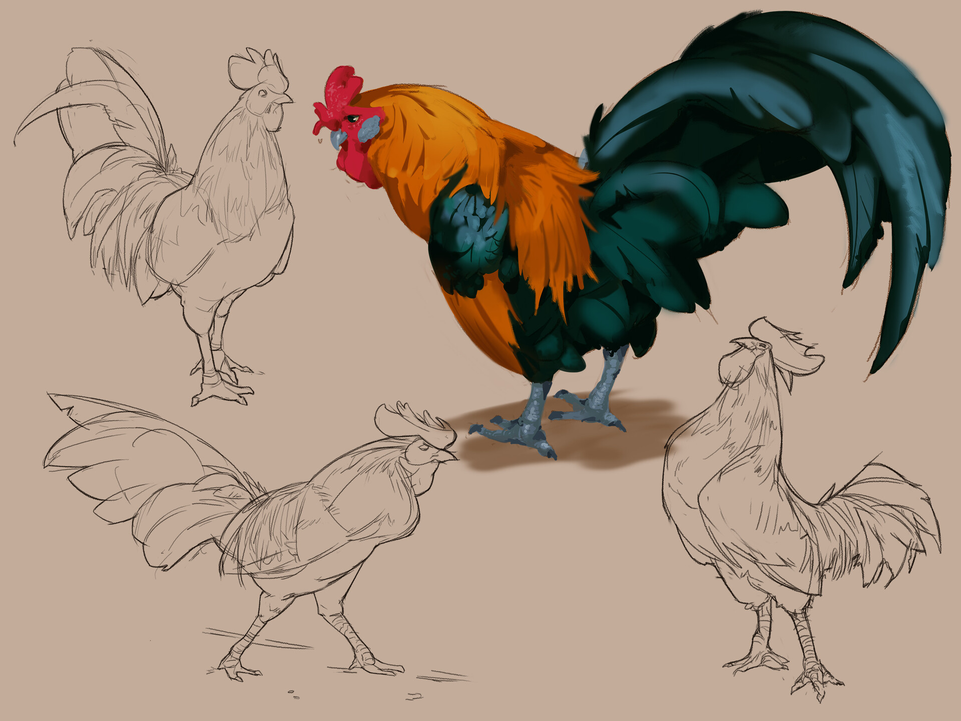 ArtStation - Animal Drawings