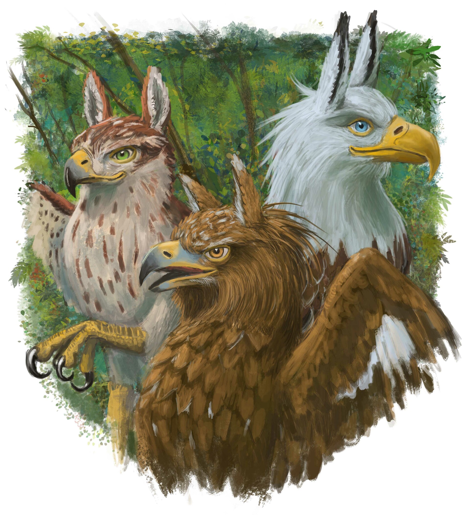 ArtStation - Griffin Shield