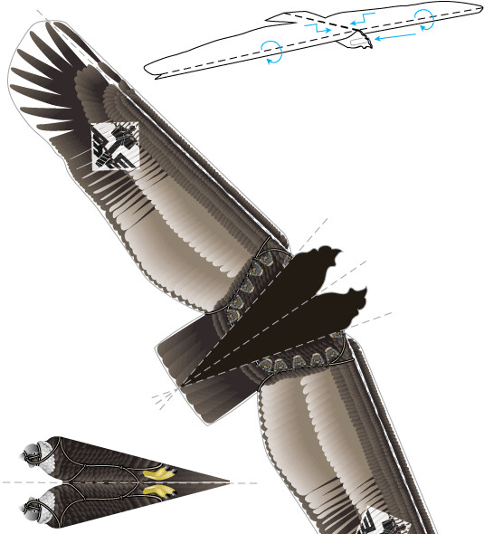 ArtStation - Panzerfauste Dwarf Condor card model