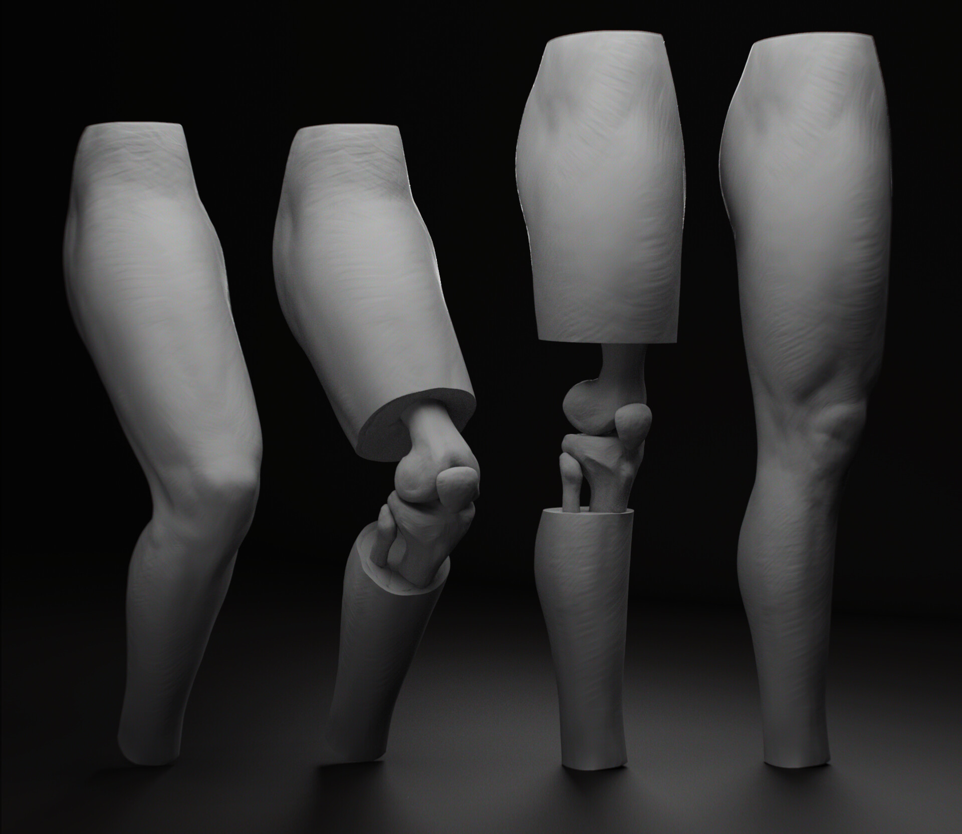 ArtStation - lower limbs study