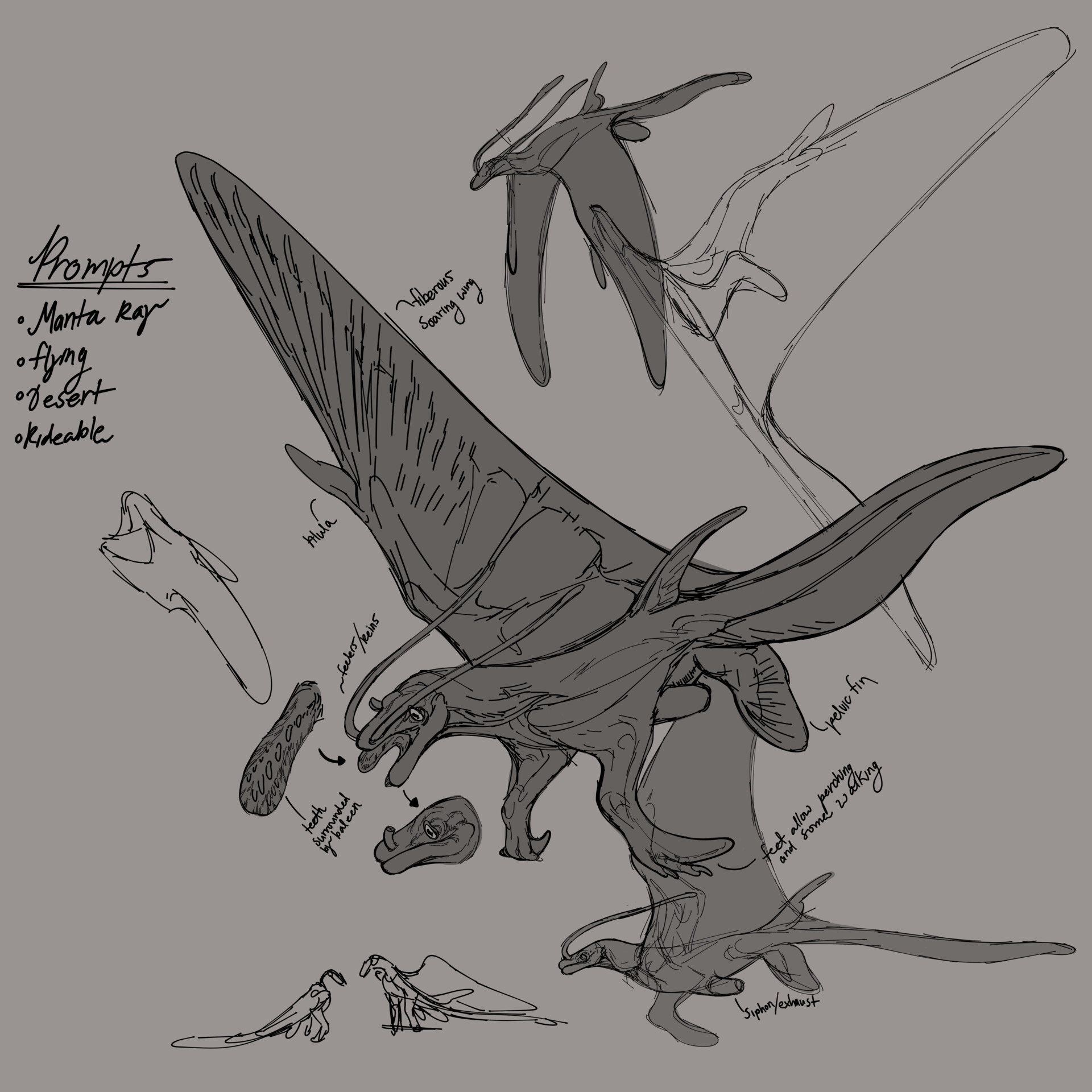ArtStation - 30-minute creature design sketch sheets