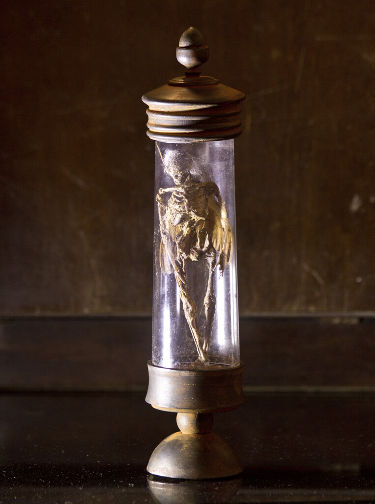 ArtStation - Fairy corpse