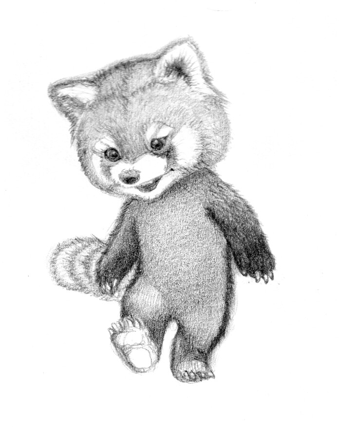 ArtStation - Red Panda