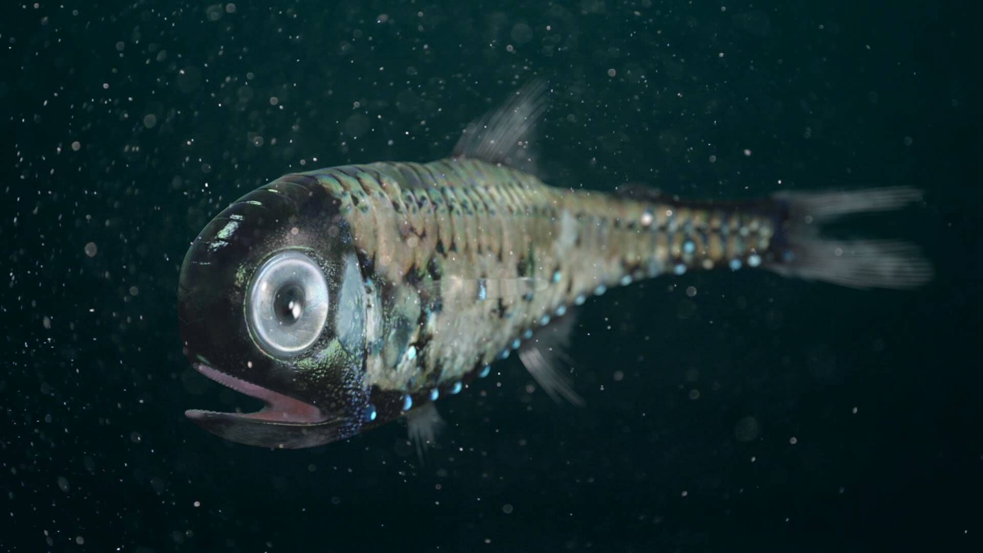 Journey of the Waterbear - 3D Renders for "The Journey of the Waterbear"