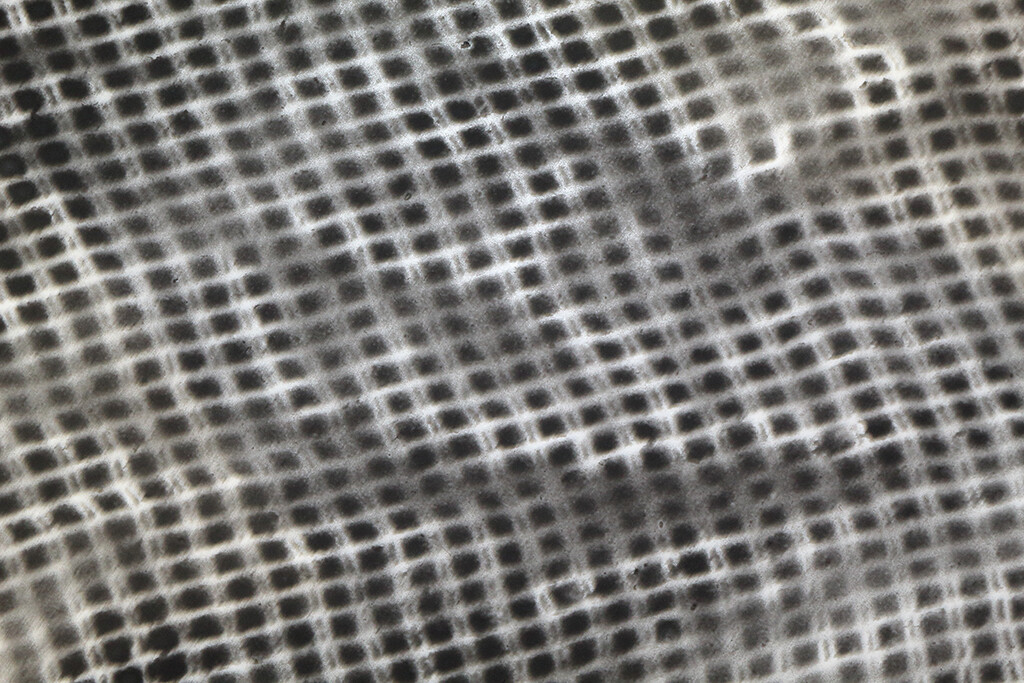 Alex Colburn - MICH 2000