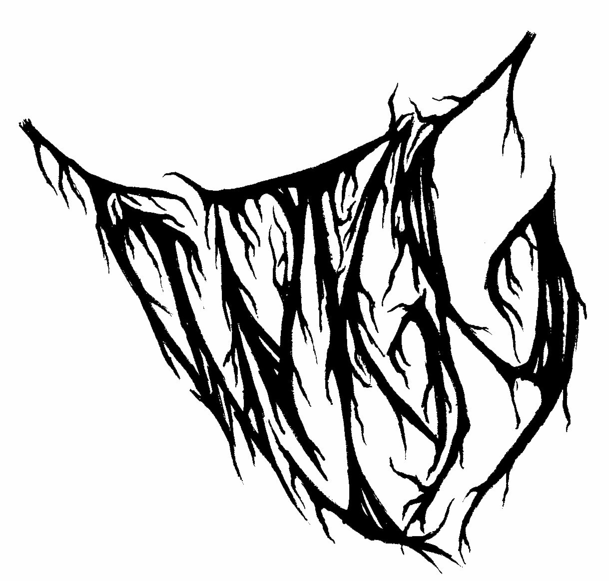 Benjamin "Sapper-Spy" Ruppert - Local Band Logos