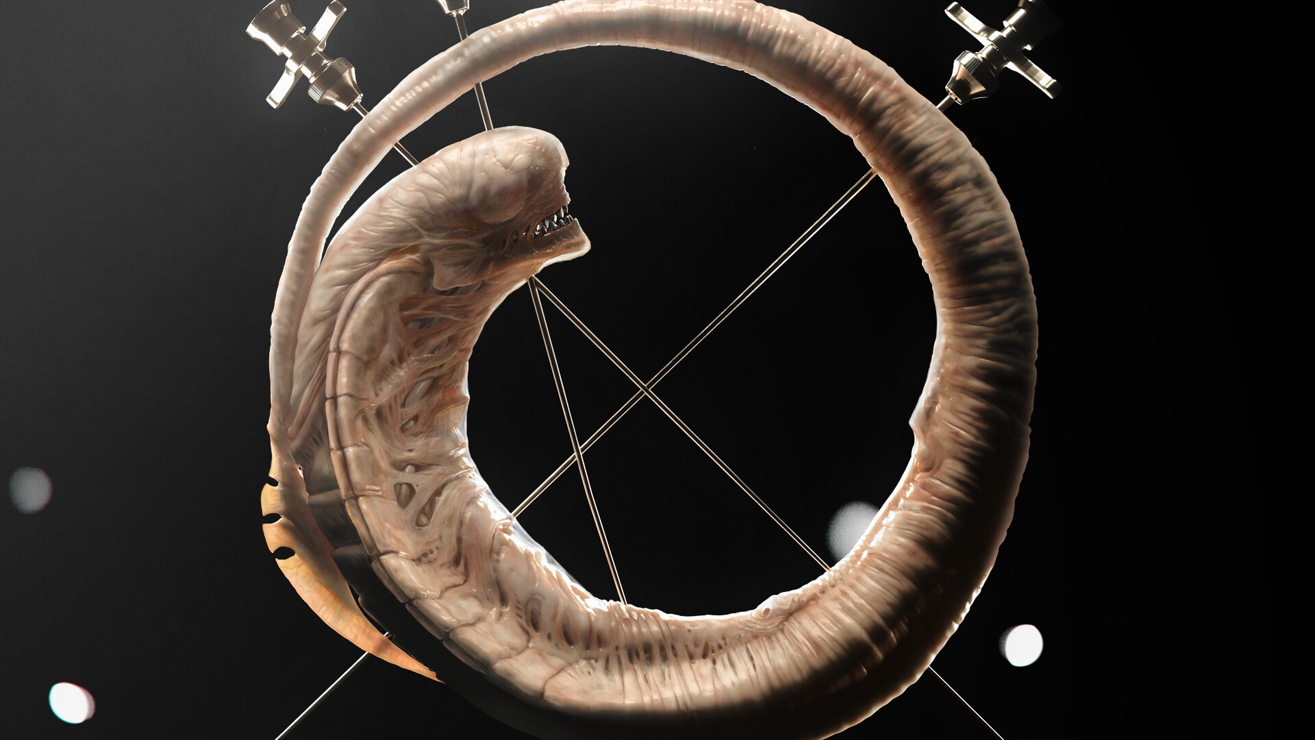 Chestburster Prometheus