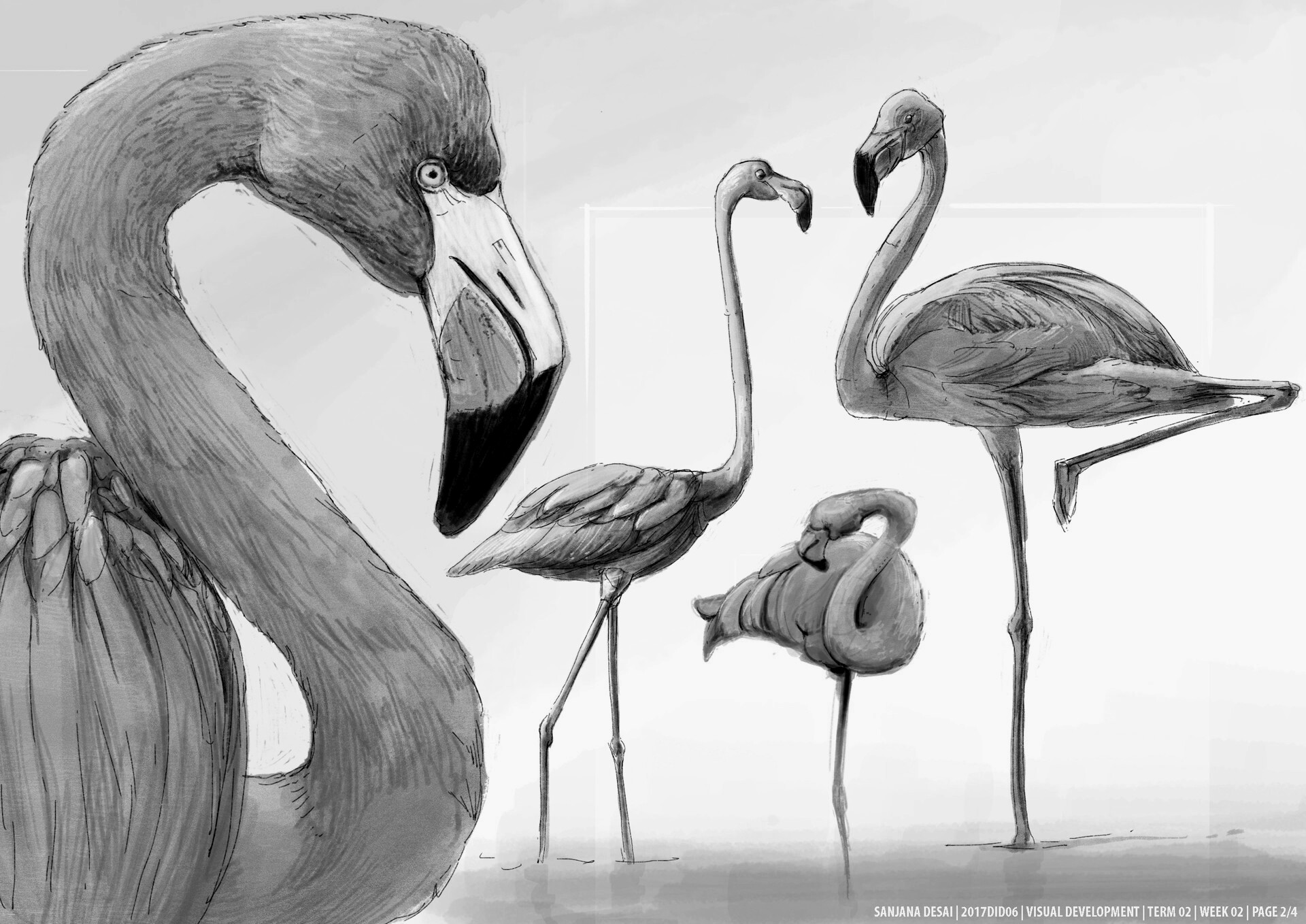 Flamingo Pencil Drawing