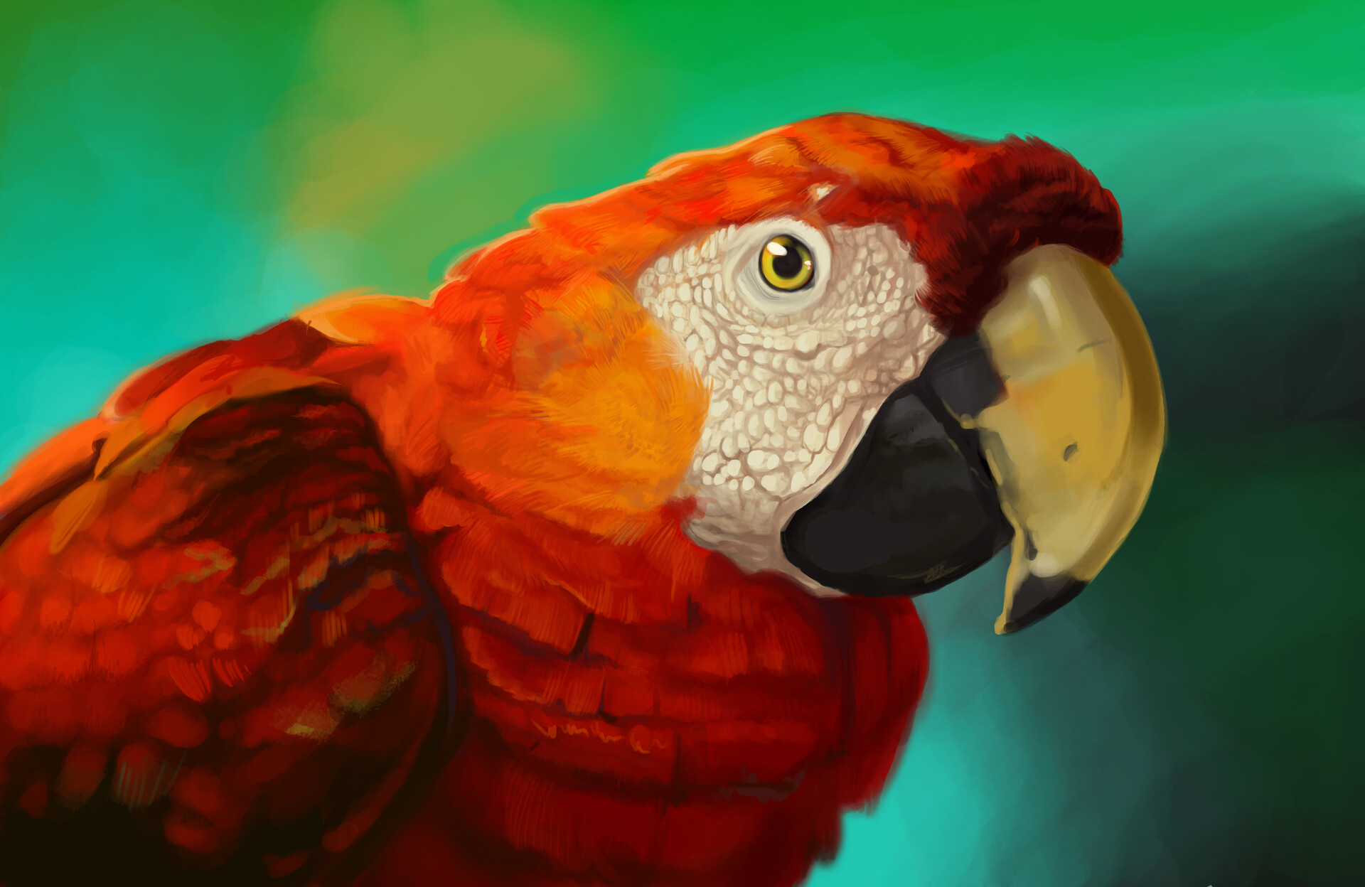 ArtStation - Peruvian Macaw