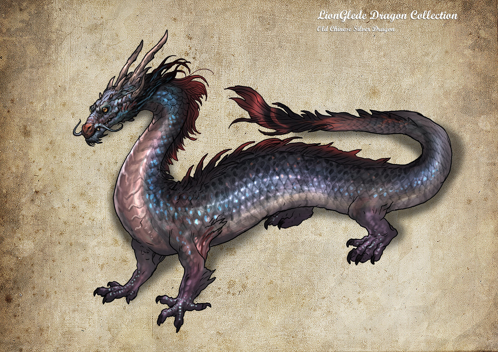 ArtStation - My personal Dragon Series: Old Chinese Silver Dragon