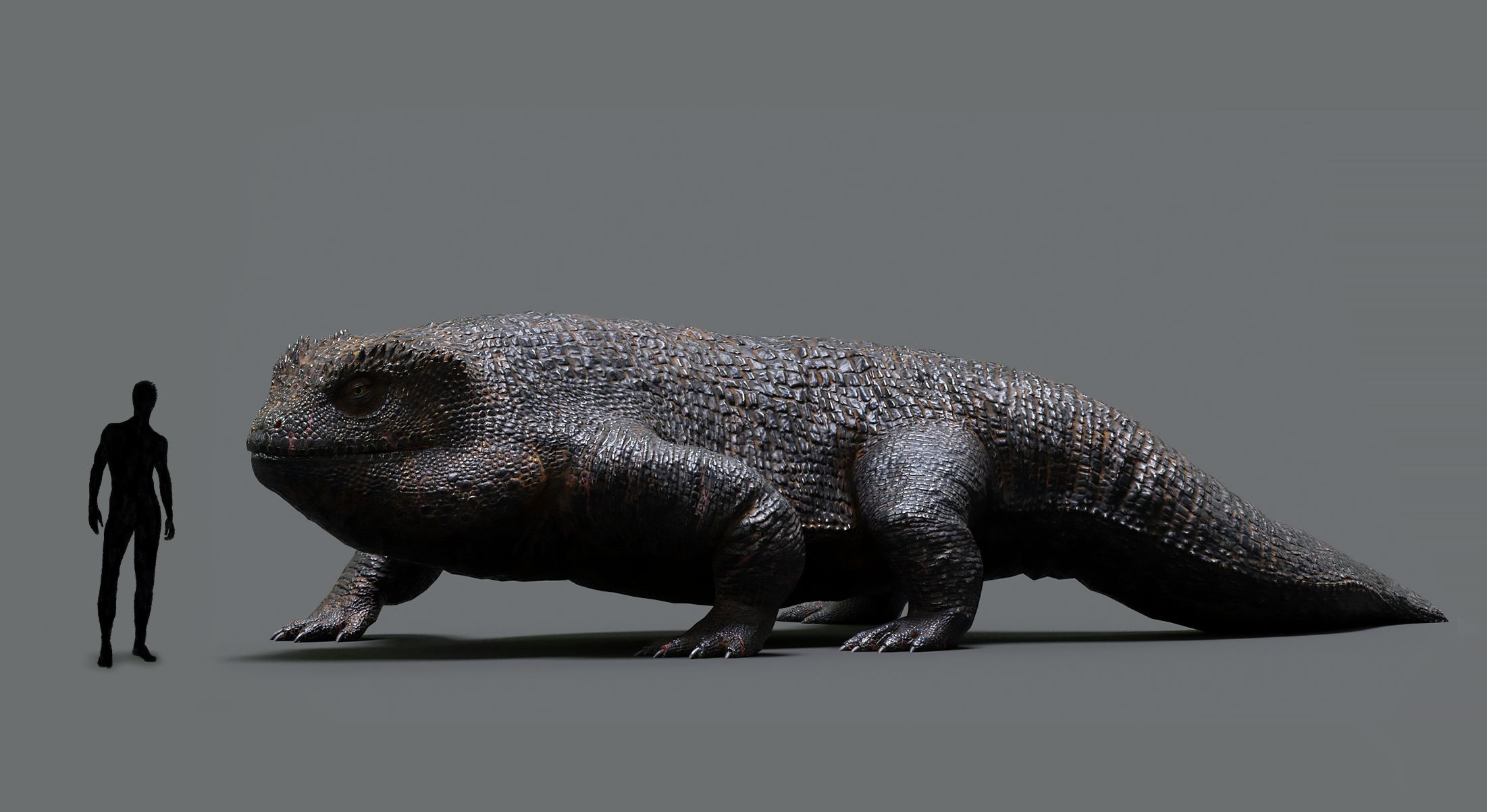 Quinn Herrmann - Draccus (The Name of the Wind / Kingkiller Chronicle)