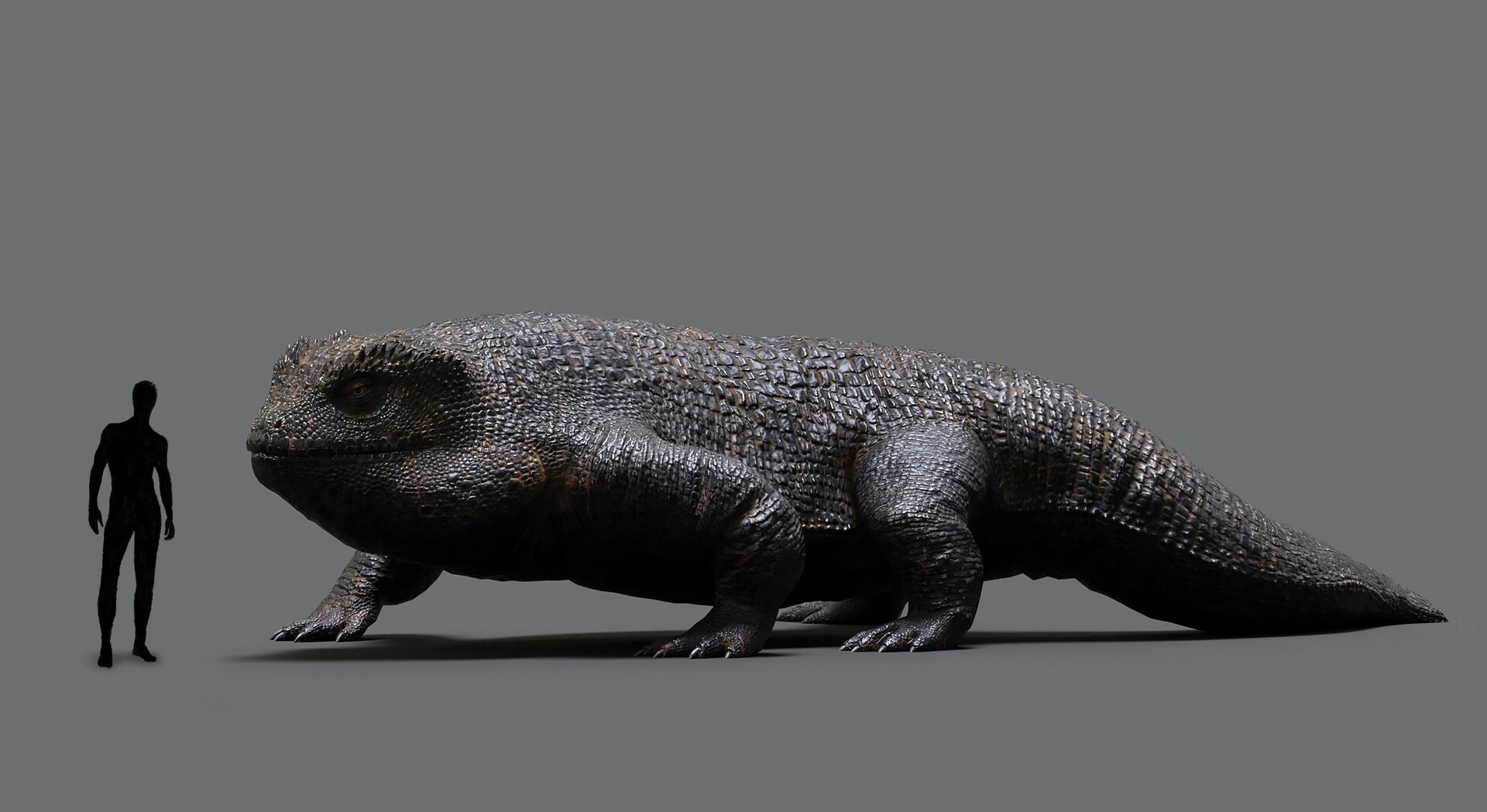 Quinn Herrmann - Draccus (The Name of the Wind / Kingkiller Chronicle)