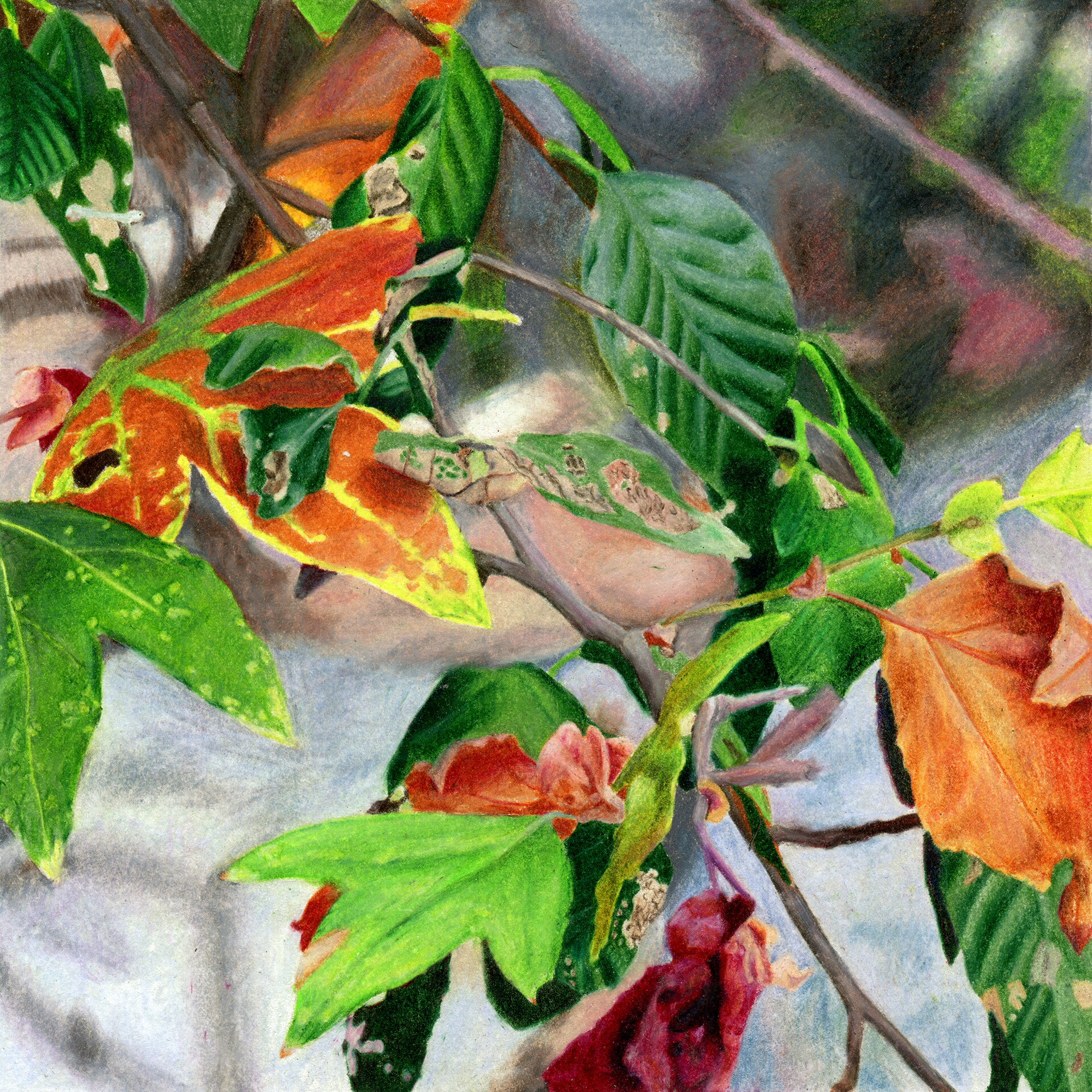 ArtStation - Leaf Study