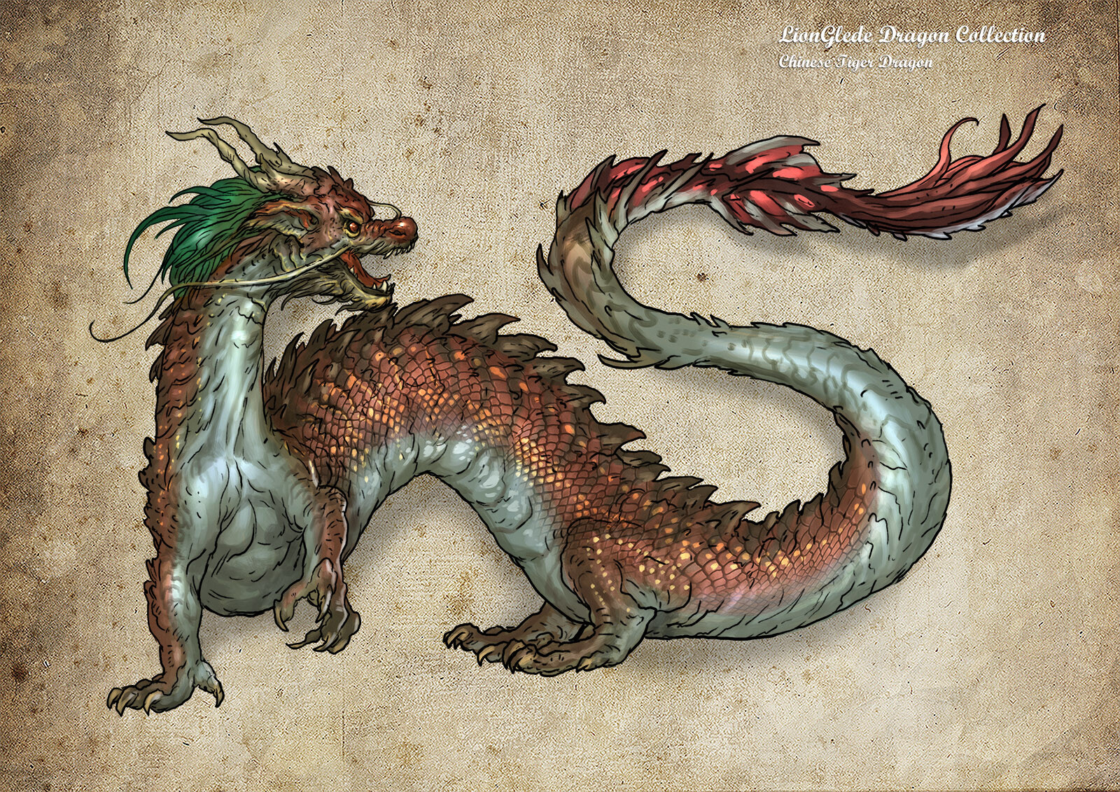 ArtStation - My personal Dragon Series: Chinese Tiger Dragon (Chinese ...