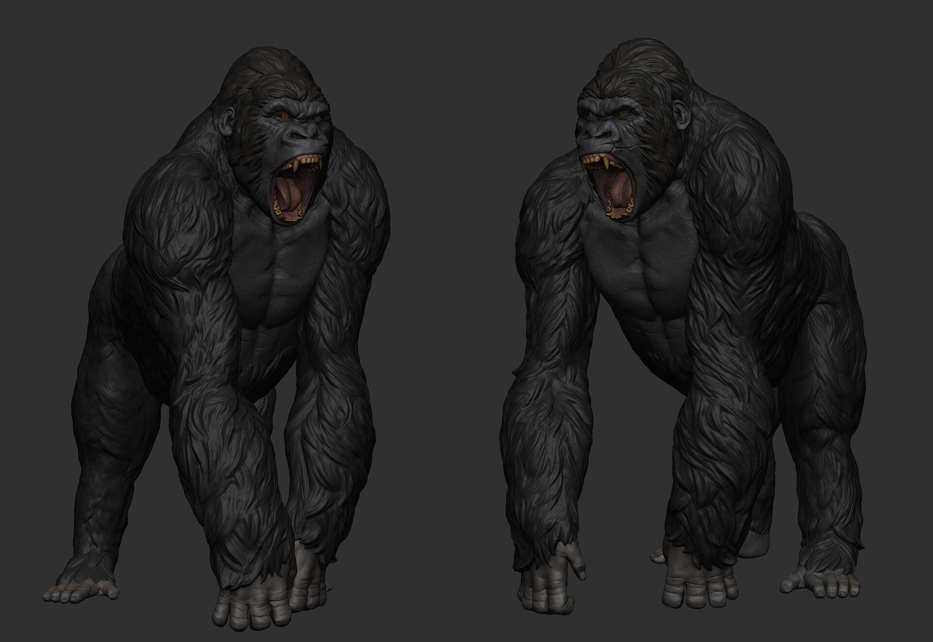 Michael Zaguirre - Gorilla