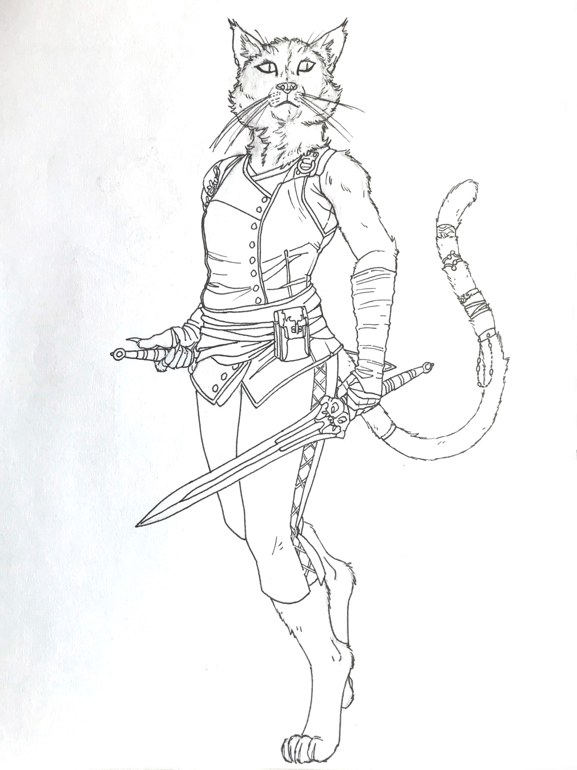 catscratch coloring page