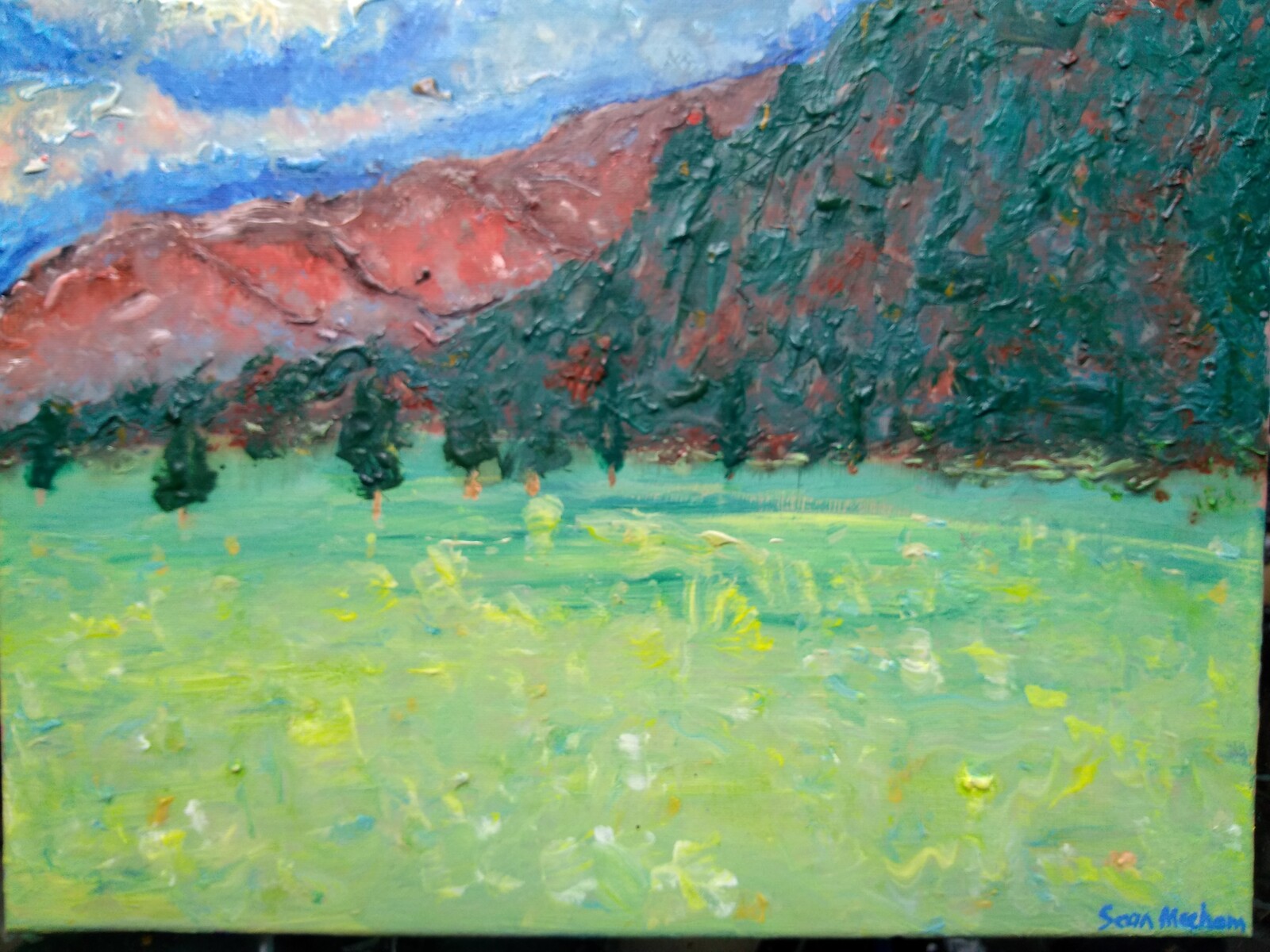 Sean Mecham - Acrylic 2018-2019