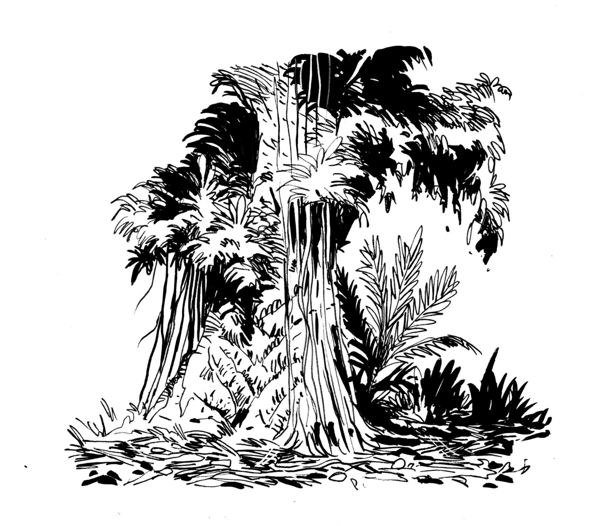 Stephan Louwes (Slartz) - Surinam trees studies