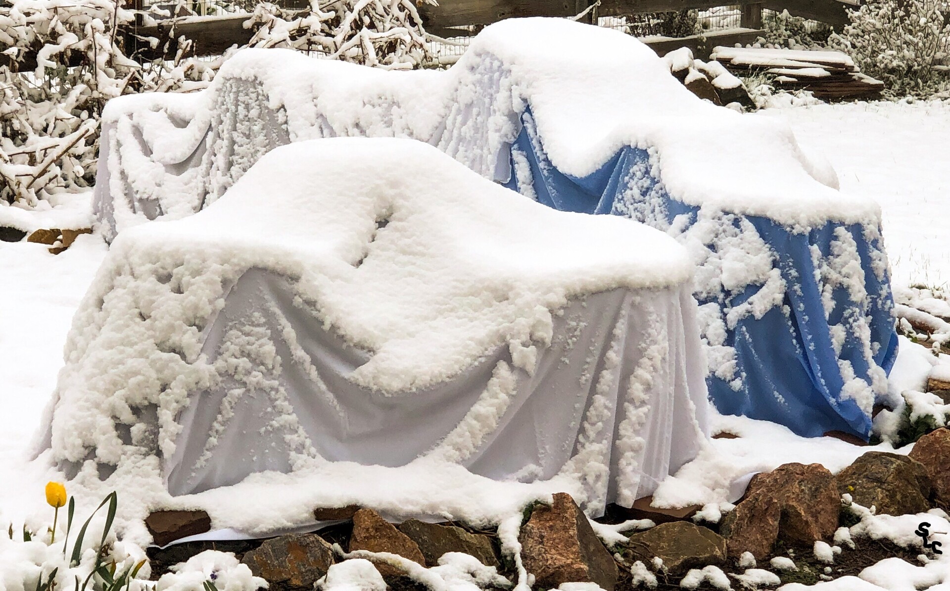 ArtStation - The Snow Ghosts Of Spring