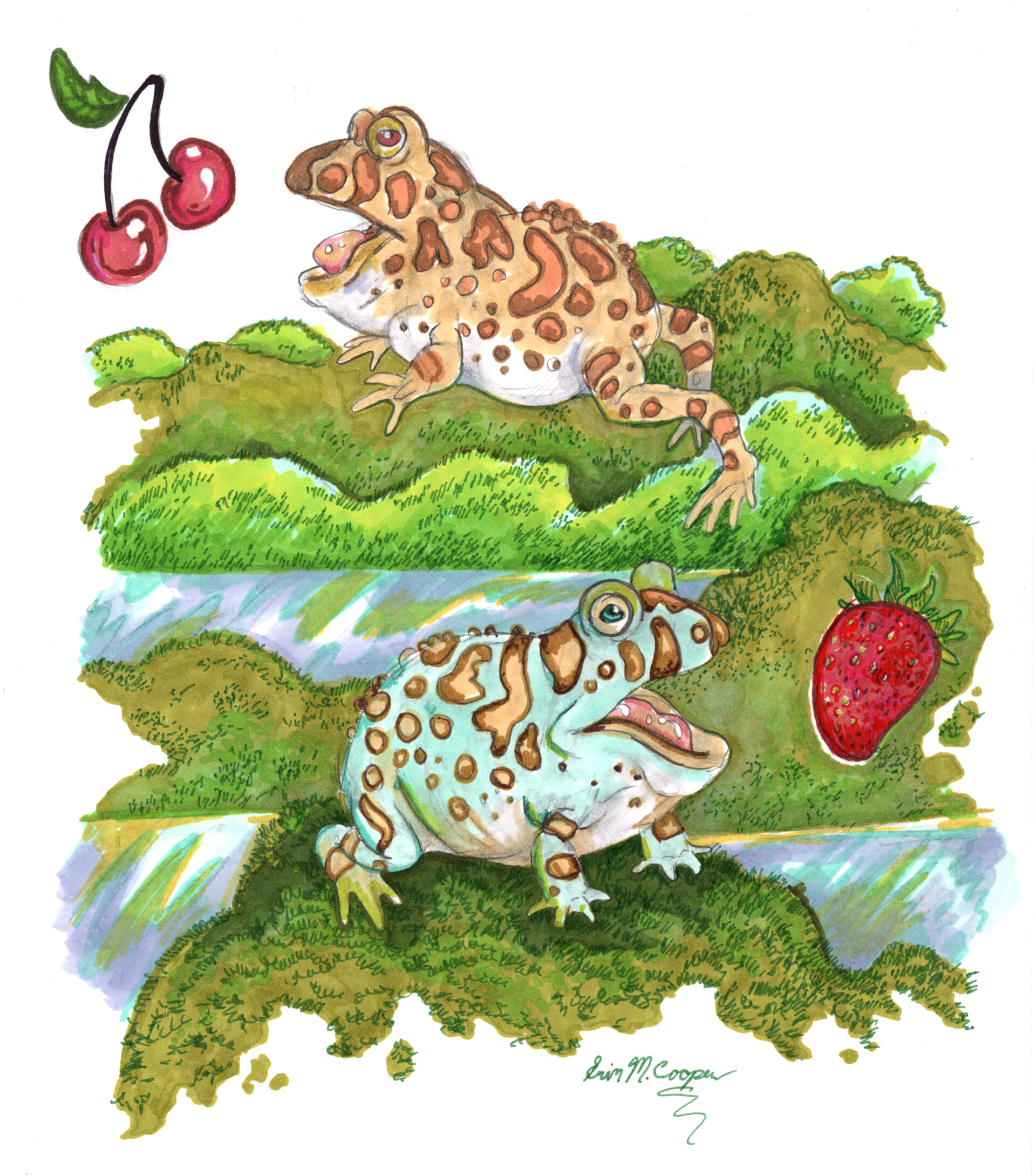 Erin Cooper - Pac-man Frogs