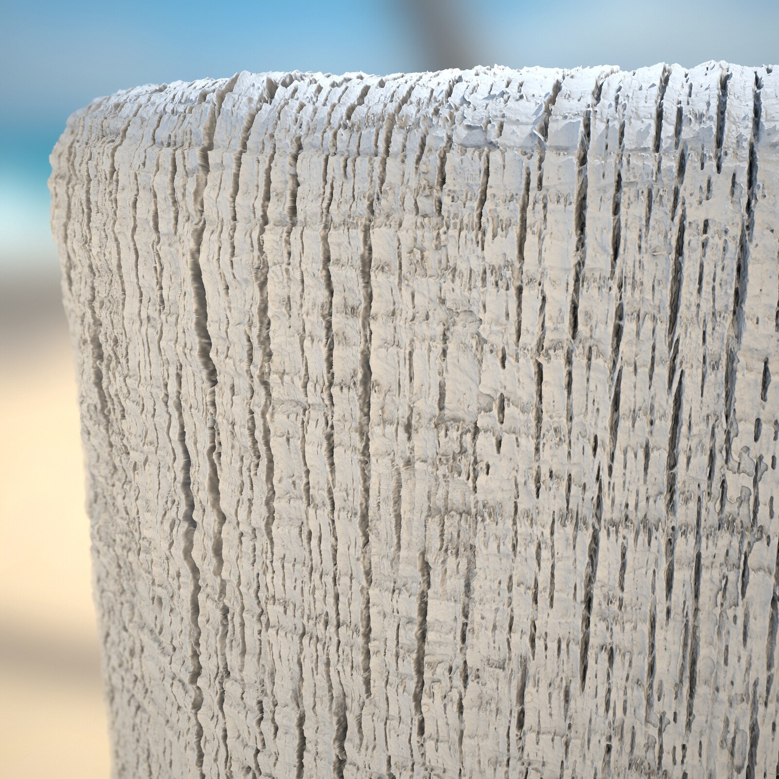 Tomasz Wieczorkowski - Palm Tree bark - scan based texture
