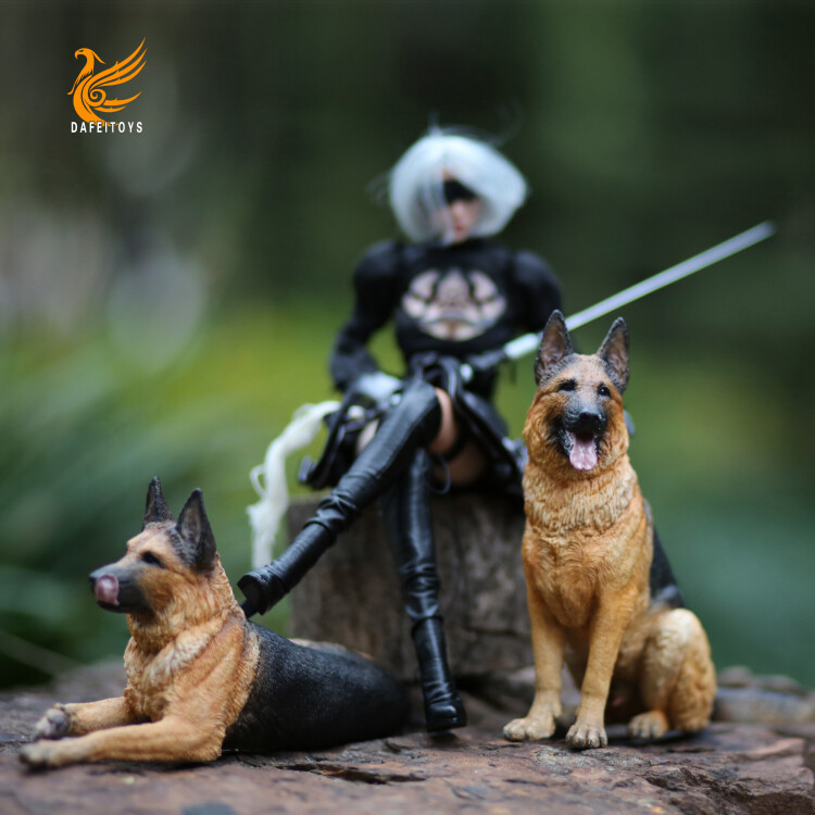 wang dong fei - modle 德国牧羊犬