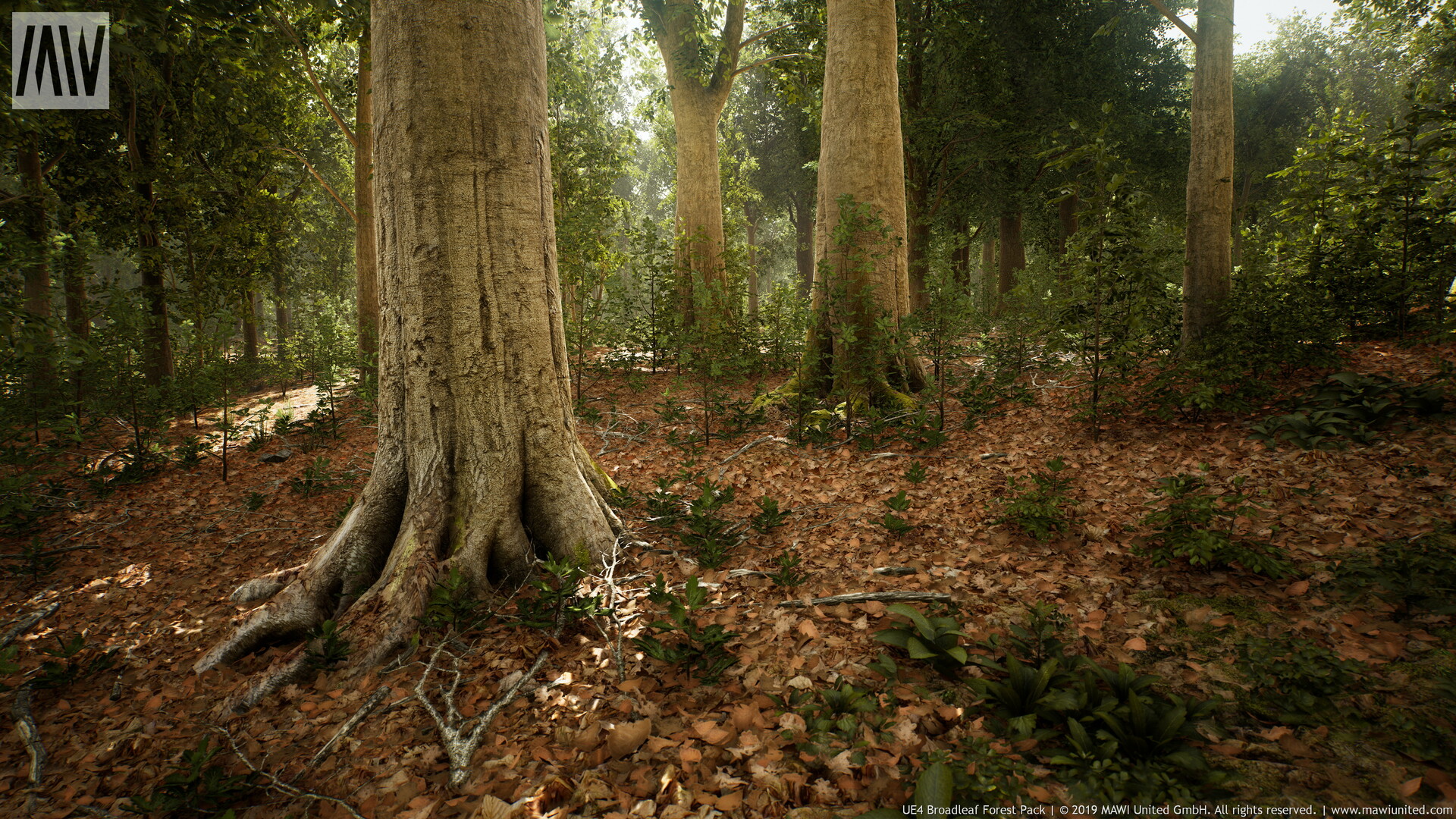 ArtStation - UE4 Broadleaf Forest V4 Update