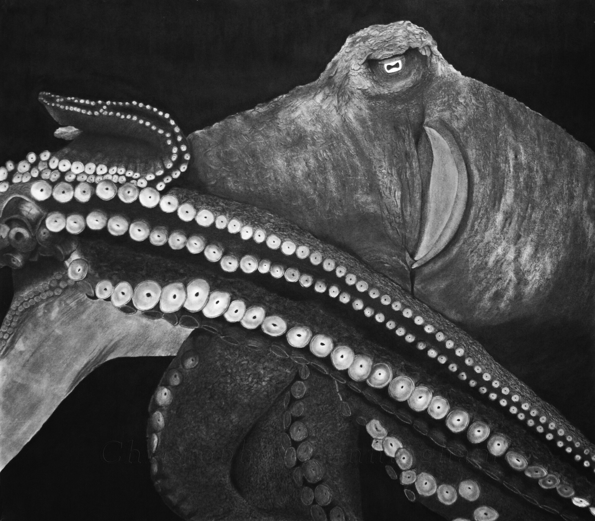 ArtStation - Charcoal Illustration