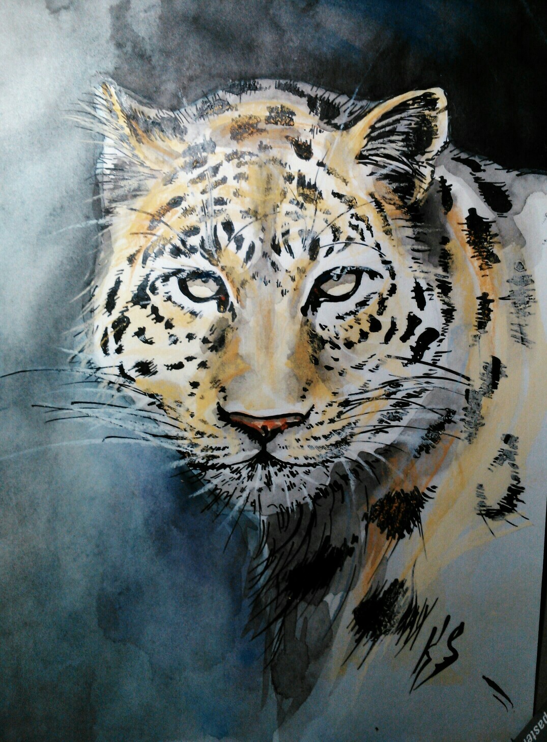 ArtStation - Wild cat