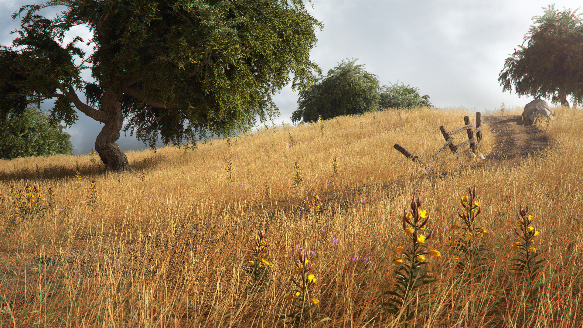 ArtStation - The Field