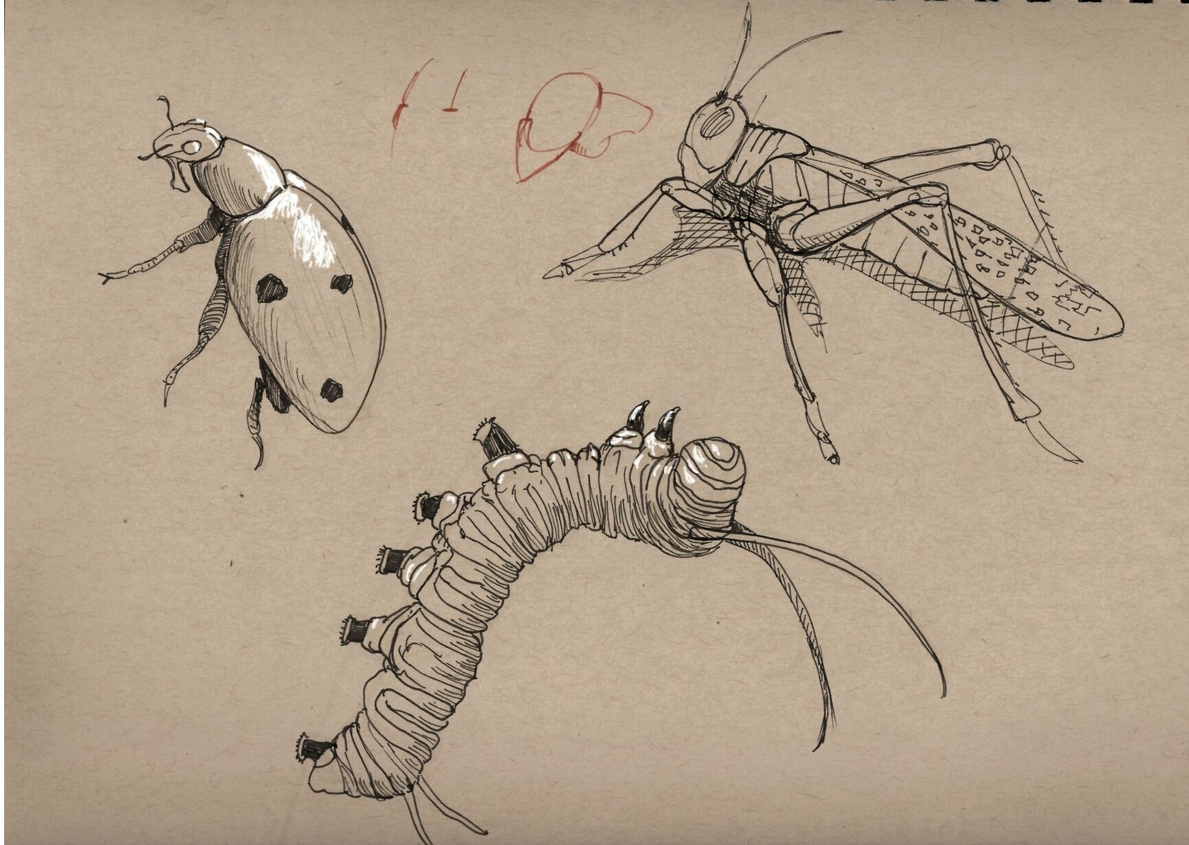 ArtStation - Studies for my Dynamic Sketching class with Patrick ...