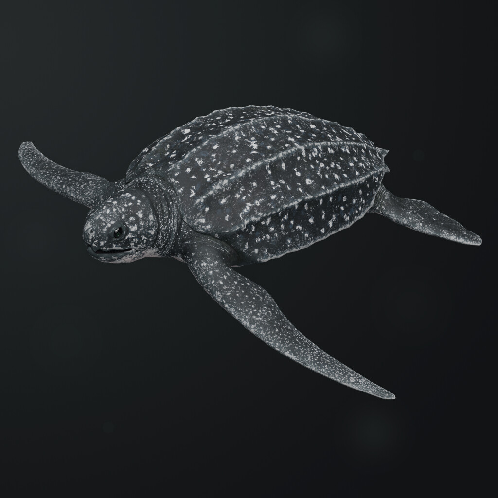 Eugenio Stanislav Fernández - Ocean Creatures