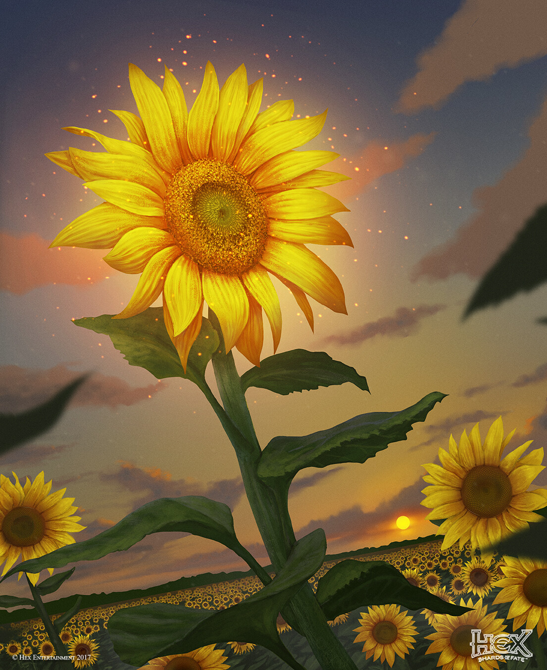 Martin de Diego - Skywing apocalyte, Stormsight apocalyte & Daybloom. 3 ...