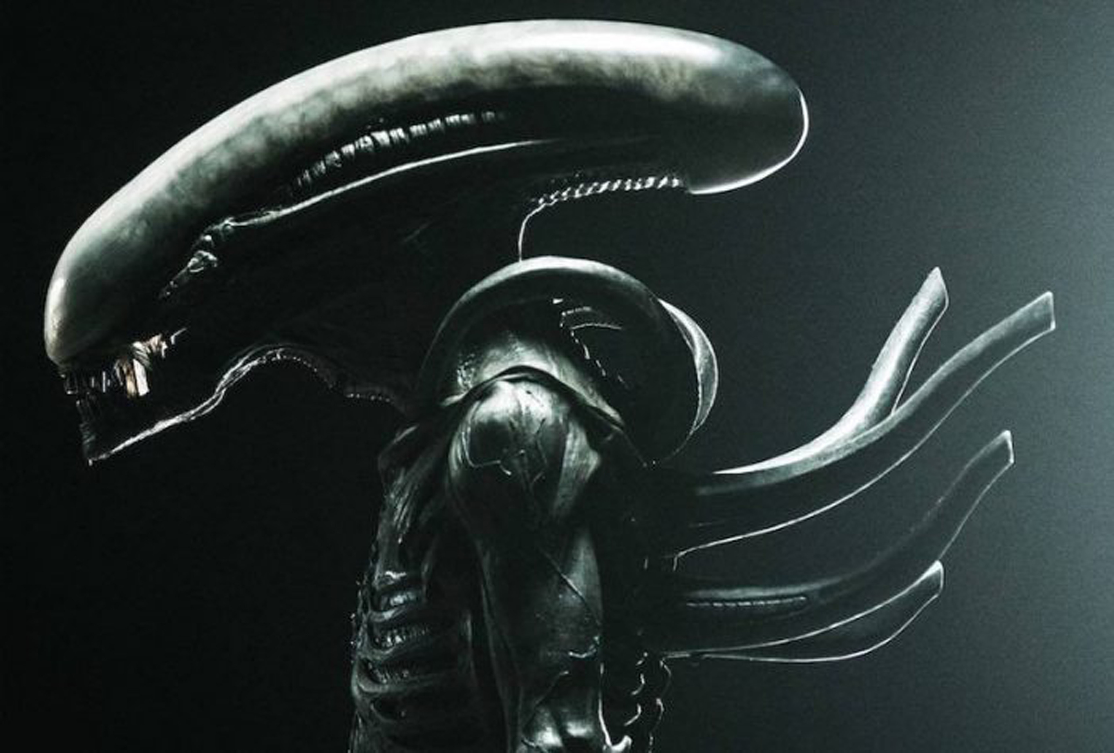 COLIN SHULVER - Alien Covenant