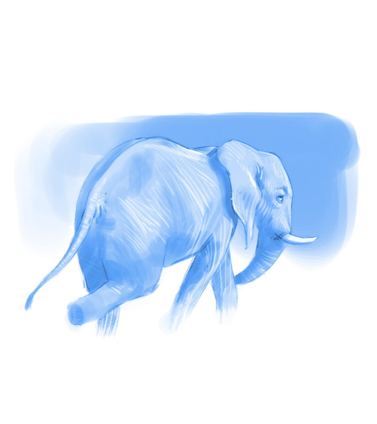 ArtStation - Elephant Sketches