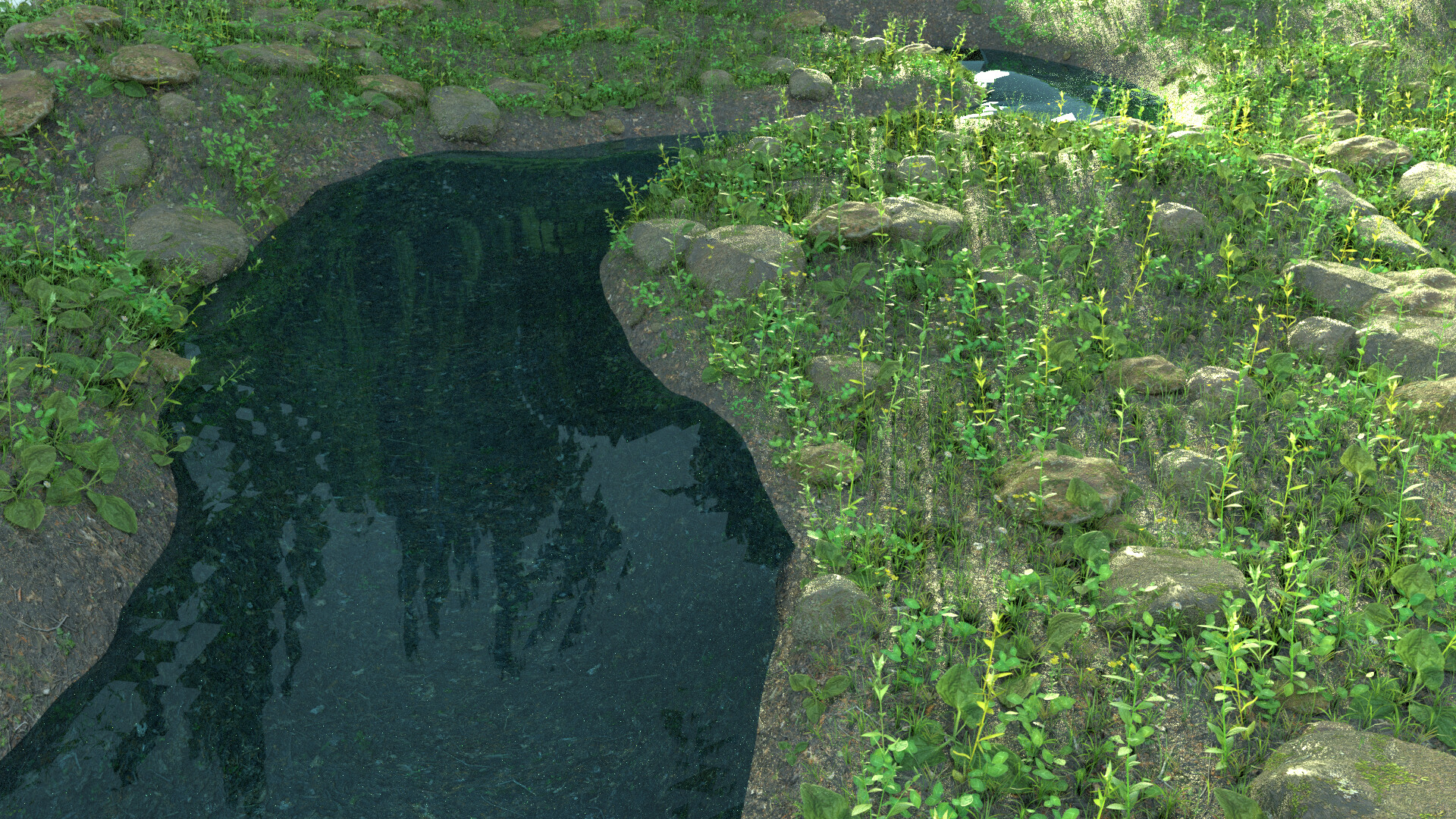 ArtStation - Liquid Nature