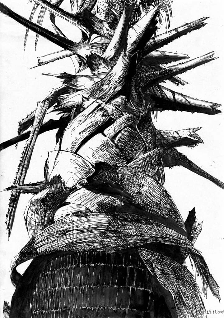 ArtStation - Palmyra tree