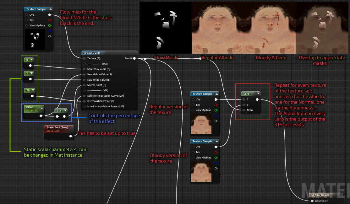 Alejandro Bielsa Martín - THE LAST OF US: PART II - Adult Ellie FANART