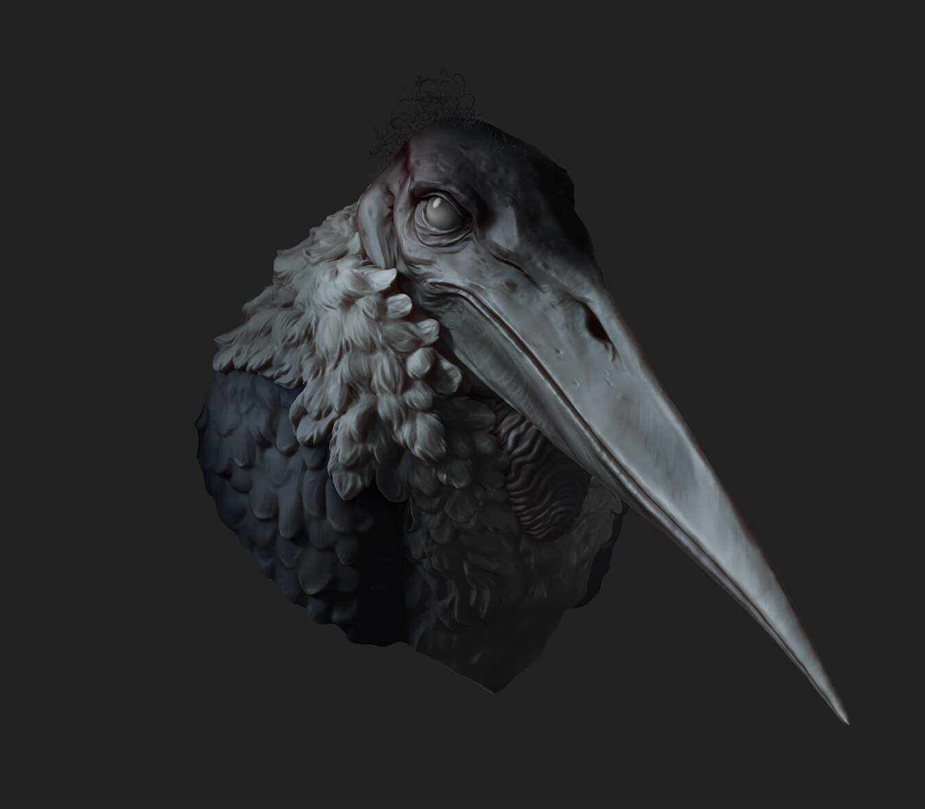 Marat Latypov - Animals!