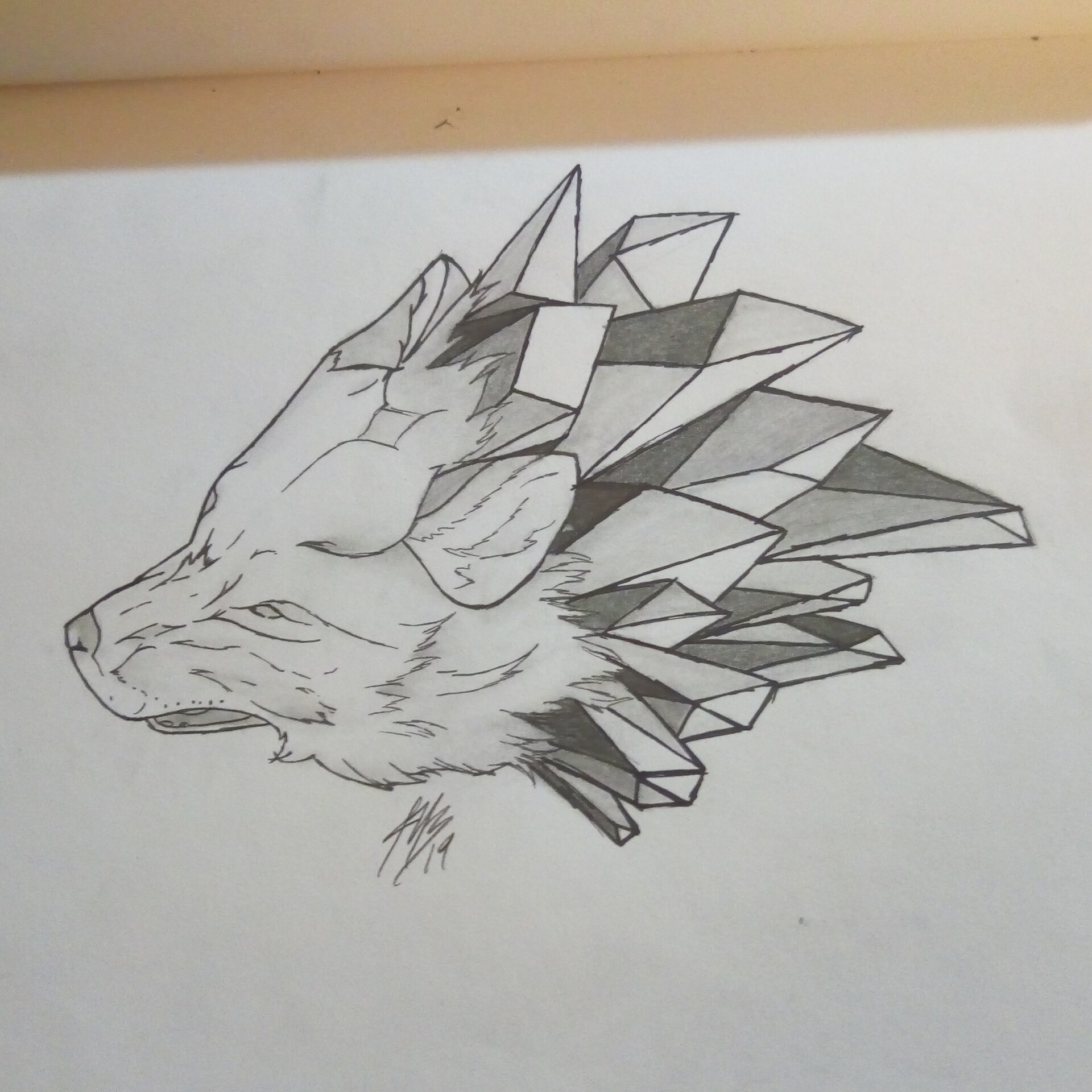 how to draw crystal animals