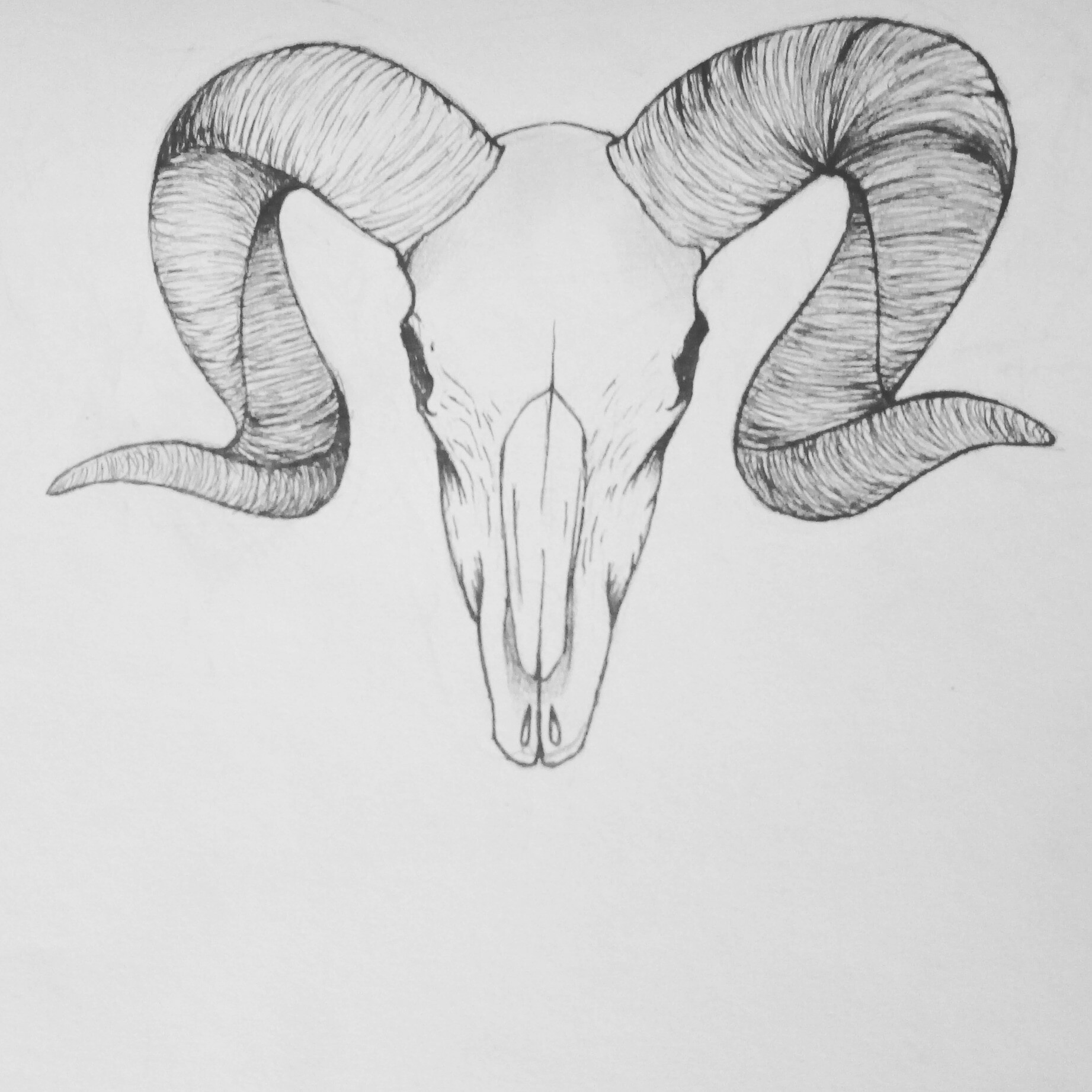 ArtStation - Ram Skull