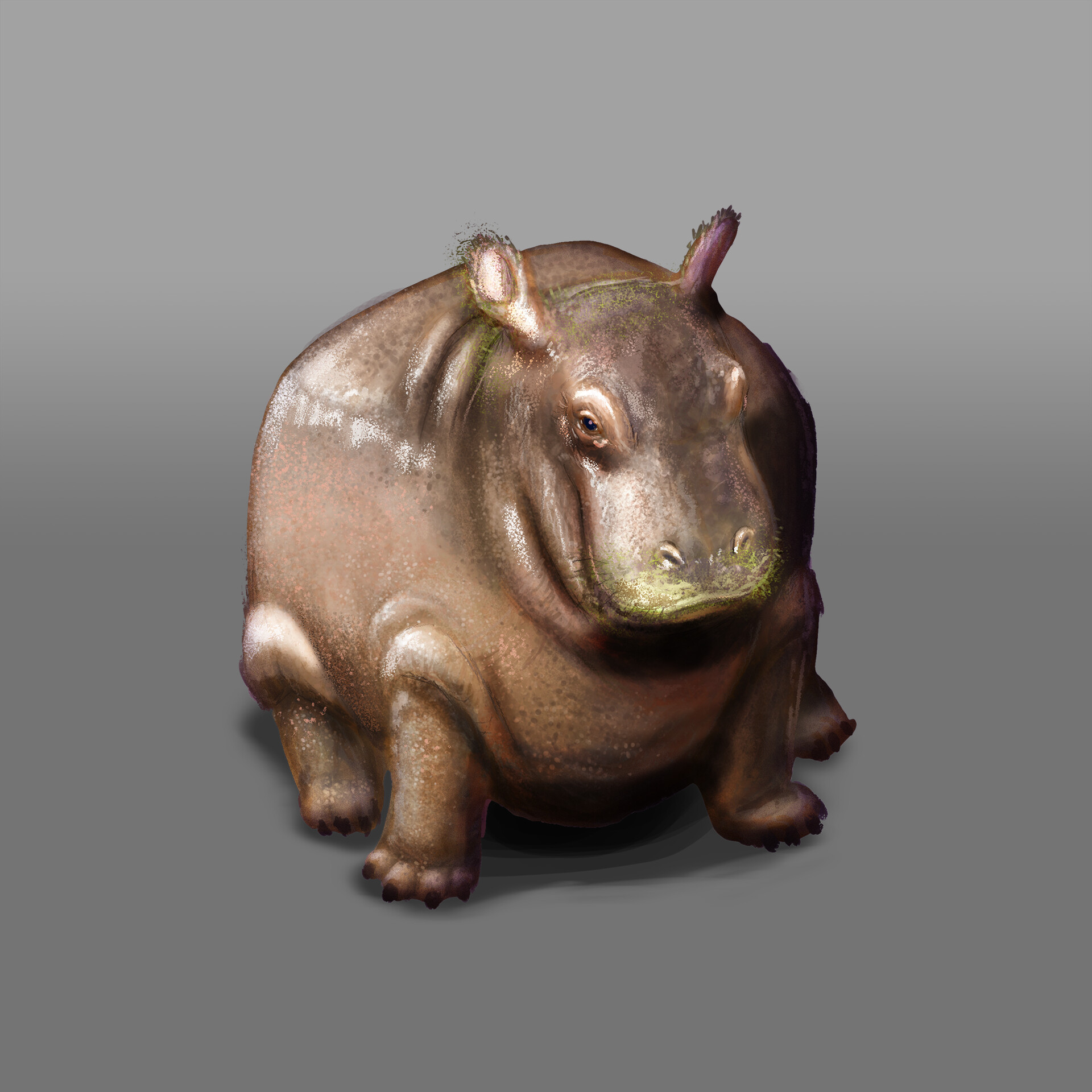 Gregory Eichholzer - animal cubes