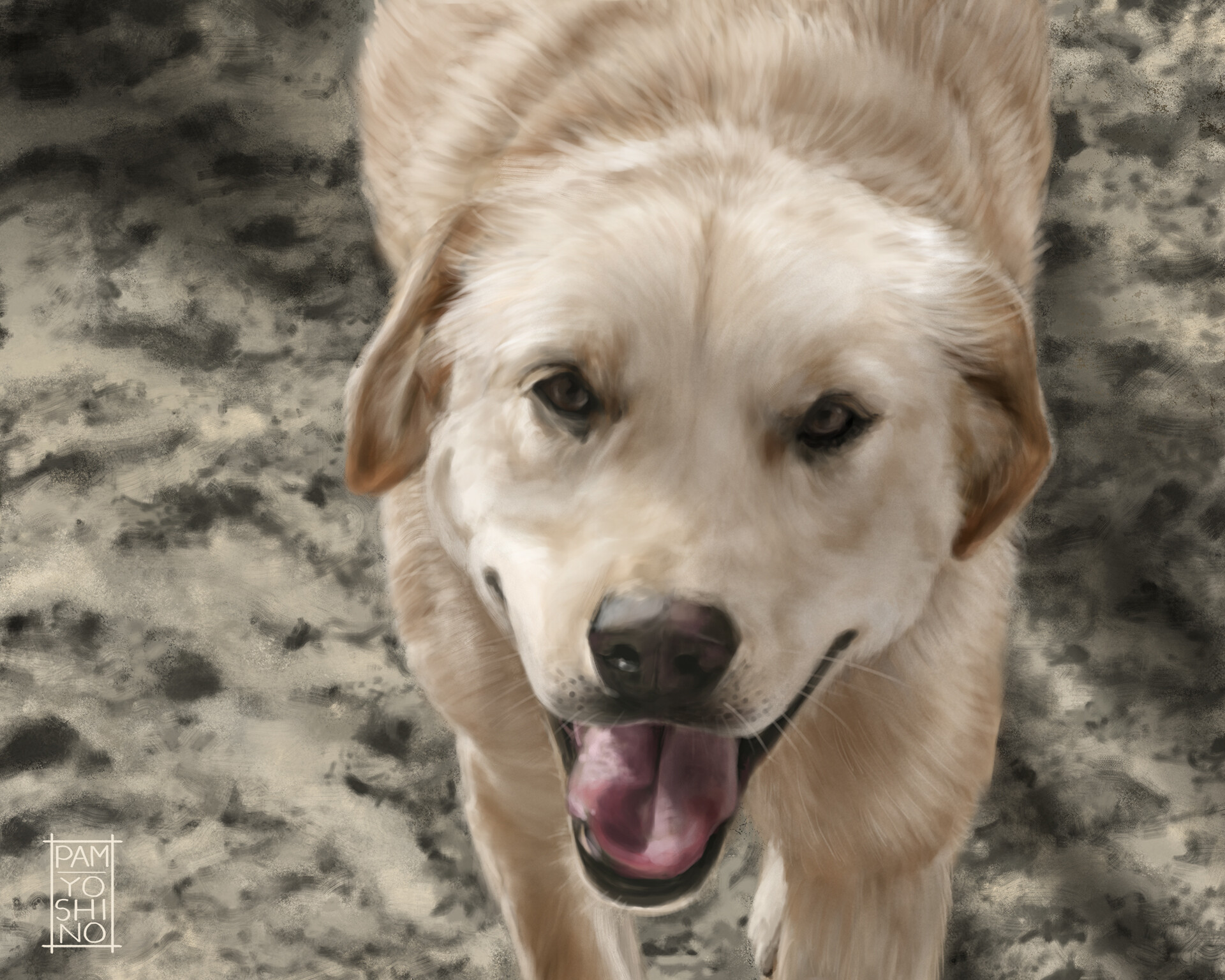 ArtStation - yellow lab