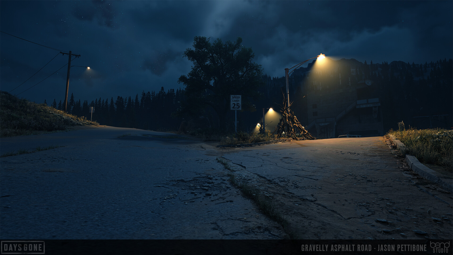 Jason Pettibone - DAYS GONE ROADS