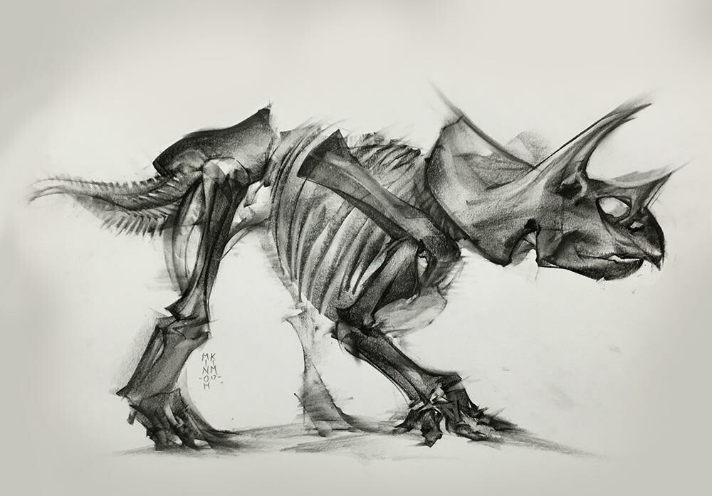 how to draw a dinosaur front view