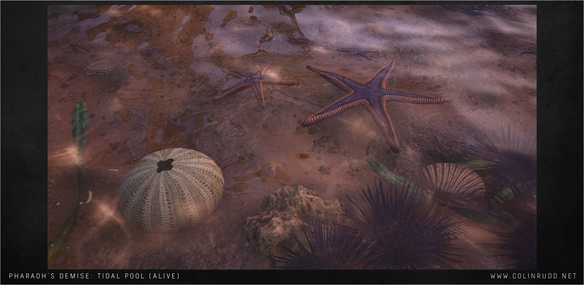 Colin Rudd - Pharaoh's Demise