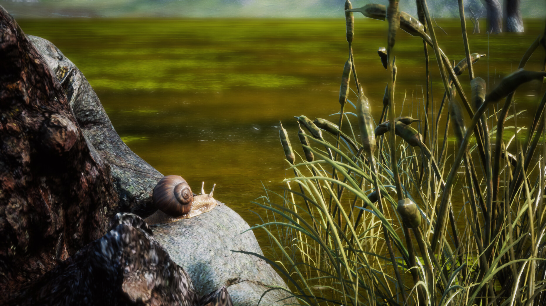 ArtStation - My lovely swamp