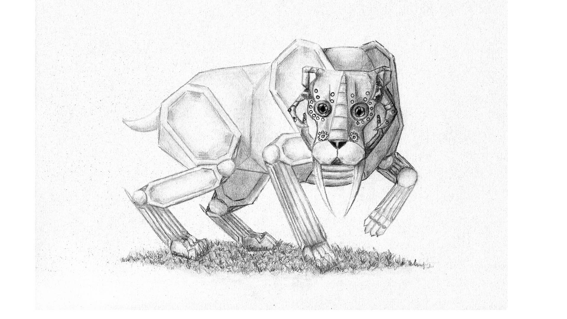 Simone Graf - Sketches