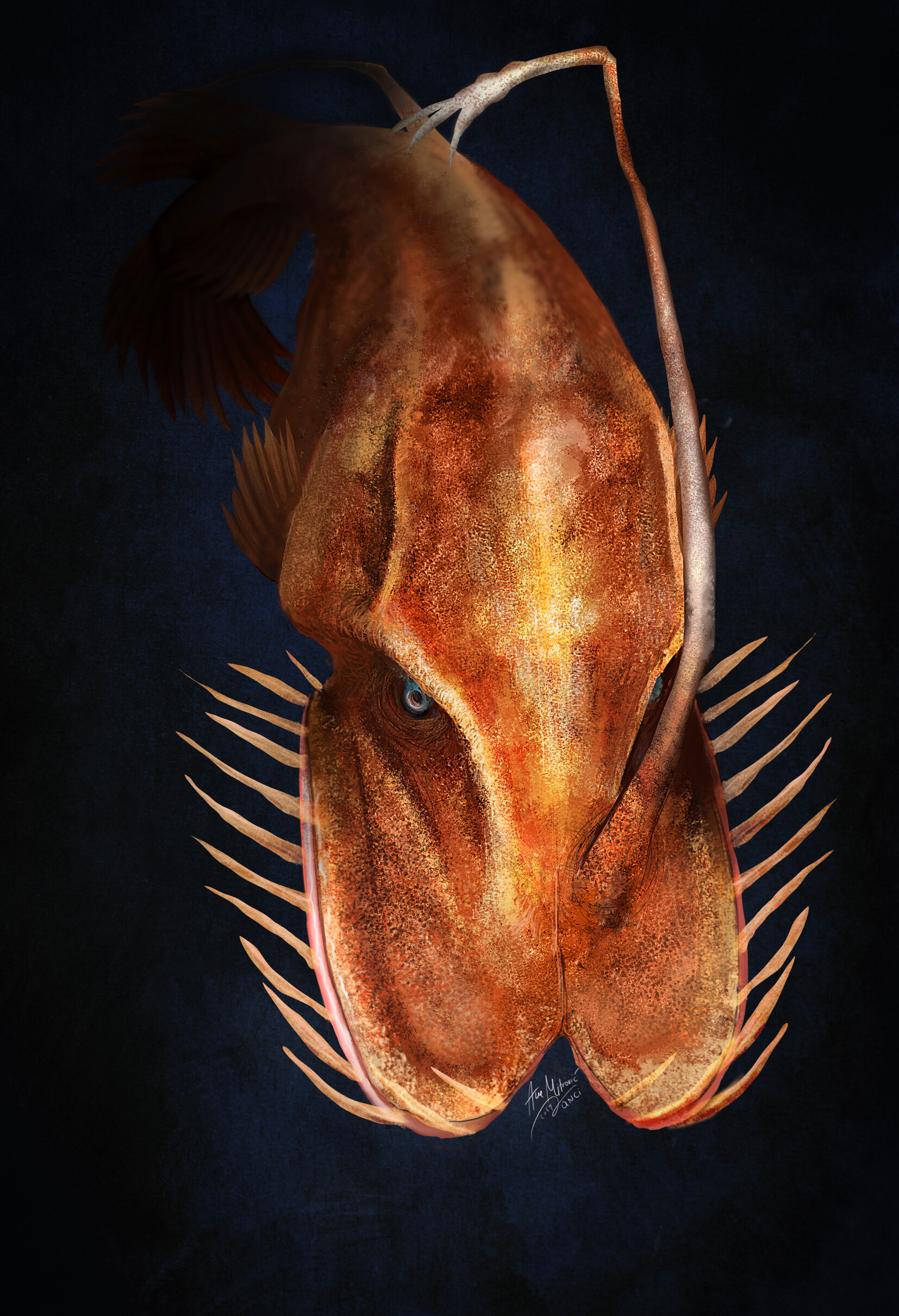 Wolf Trap Anglerfish