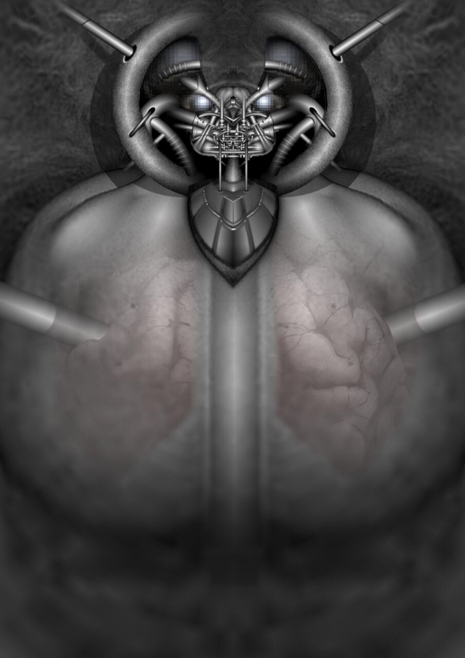 ArtStation - brain structure